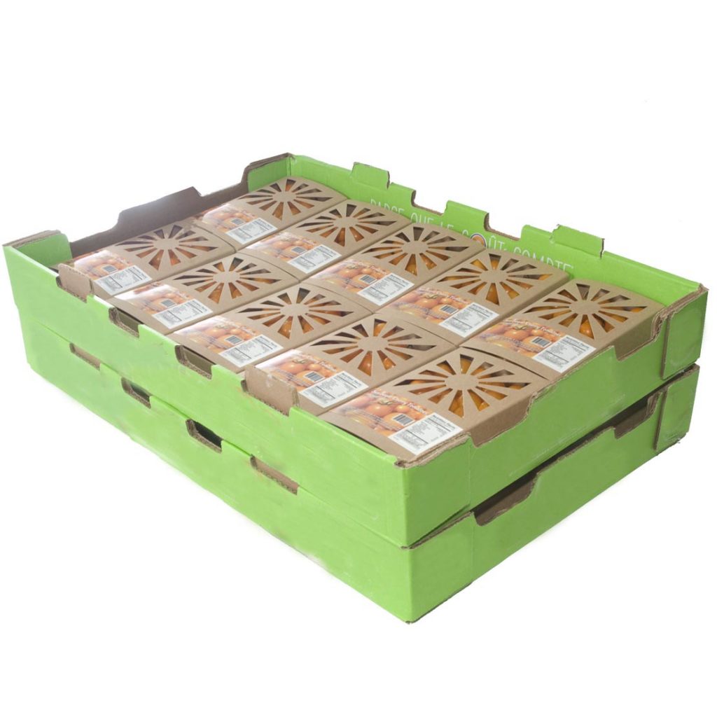 1 Pint berry containers in low profile design