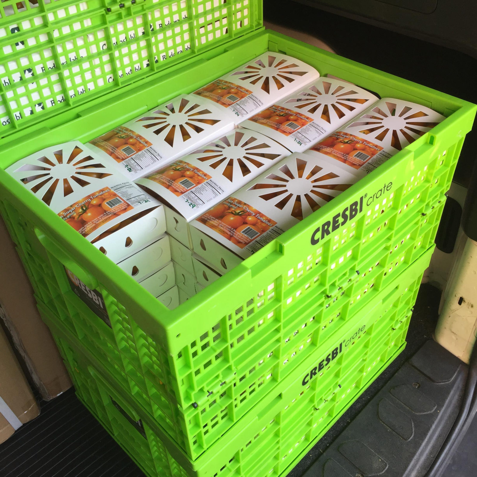 1 Pt Container Low Profile KRAFT