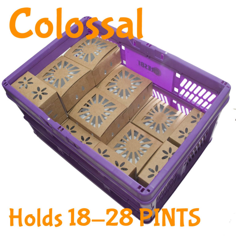 1 pint container in reversible material