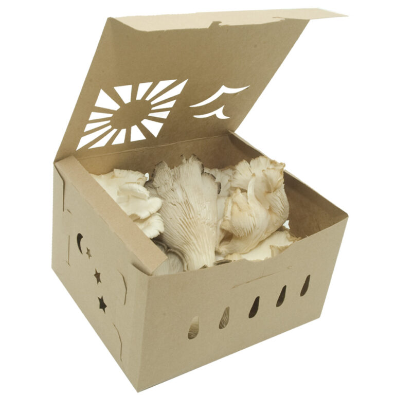 3 Quart KRAFT Container Sustainable Produce